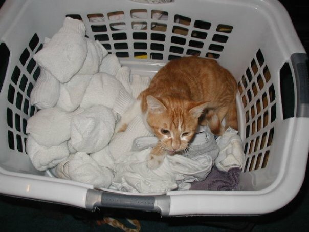 Old Man Graham | lesbiyinzer